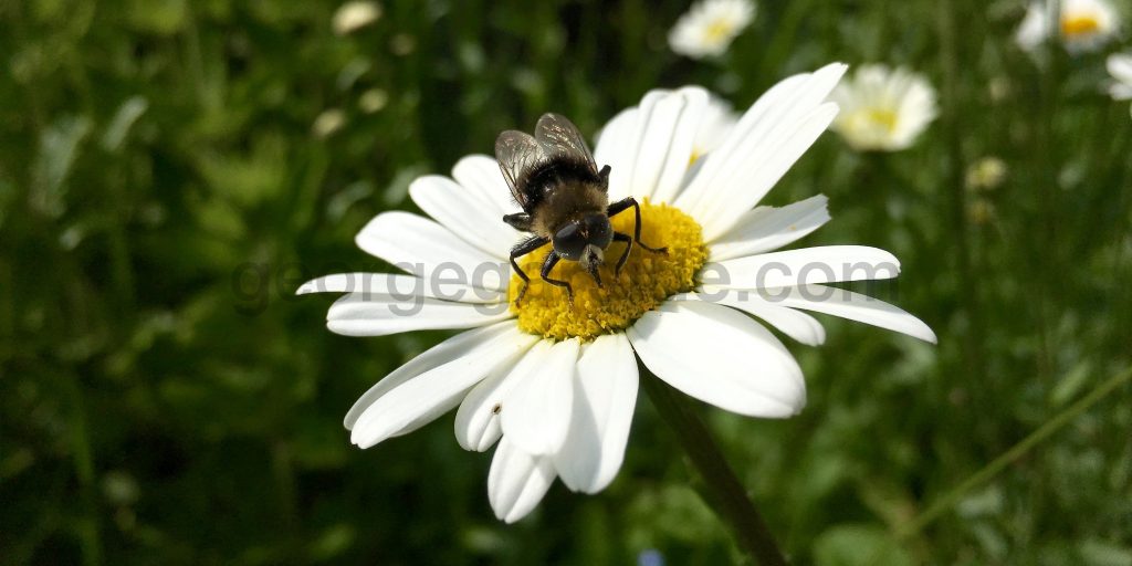 George Garside, software engineer